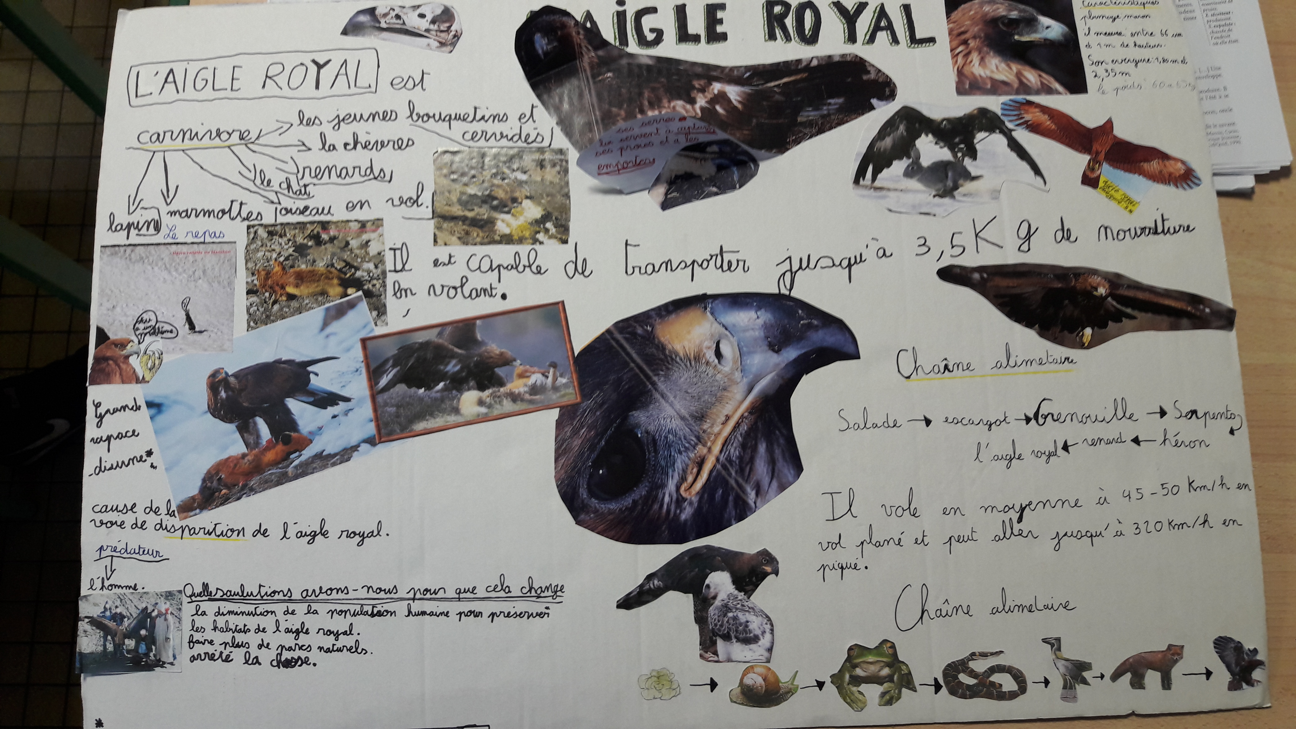 Exposé sciences CM1 – Ecole Notre Dame St Sulpice le Verdon commune de ...