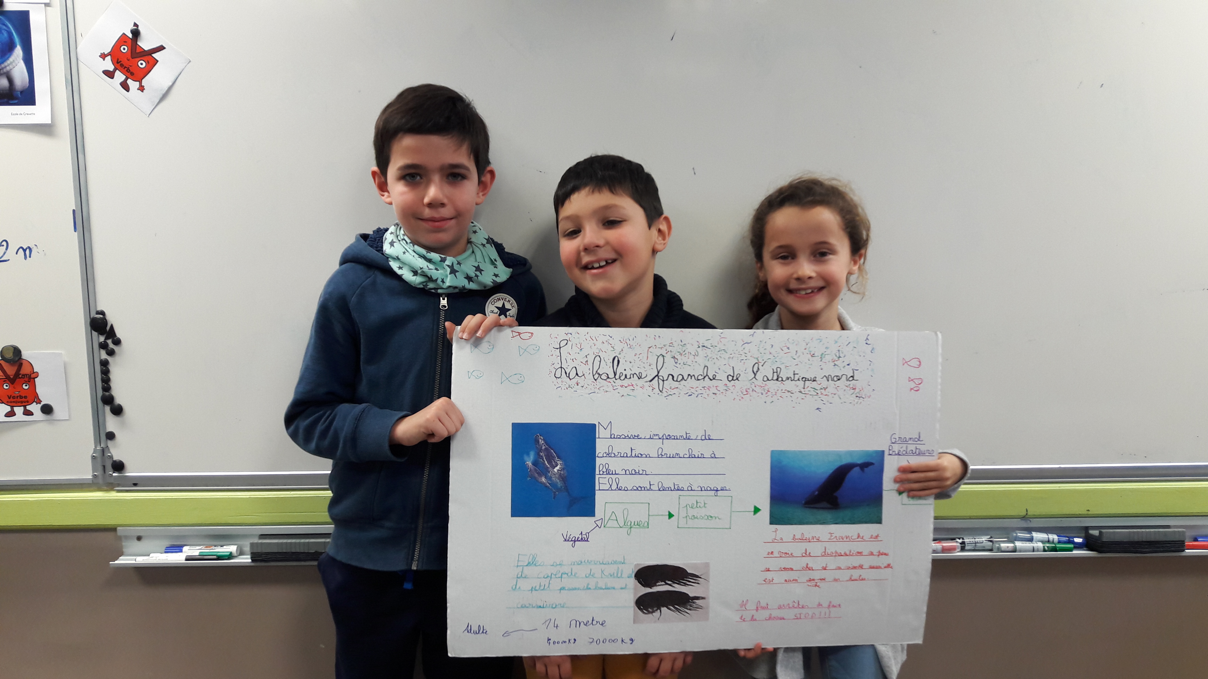 Exposé sciences CM1 – Ecole Notre Dame St Sulpice le Verdon commune de ...